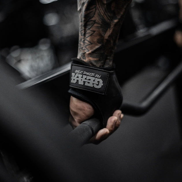 Vetoremmit – PTVLABS